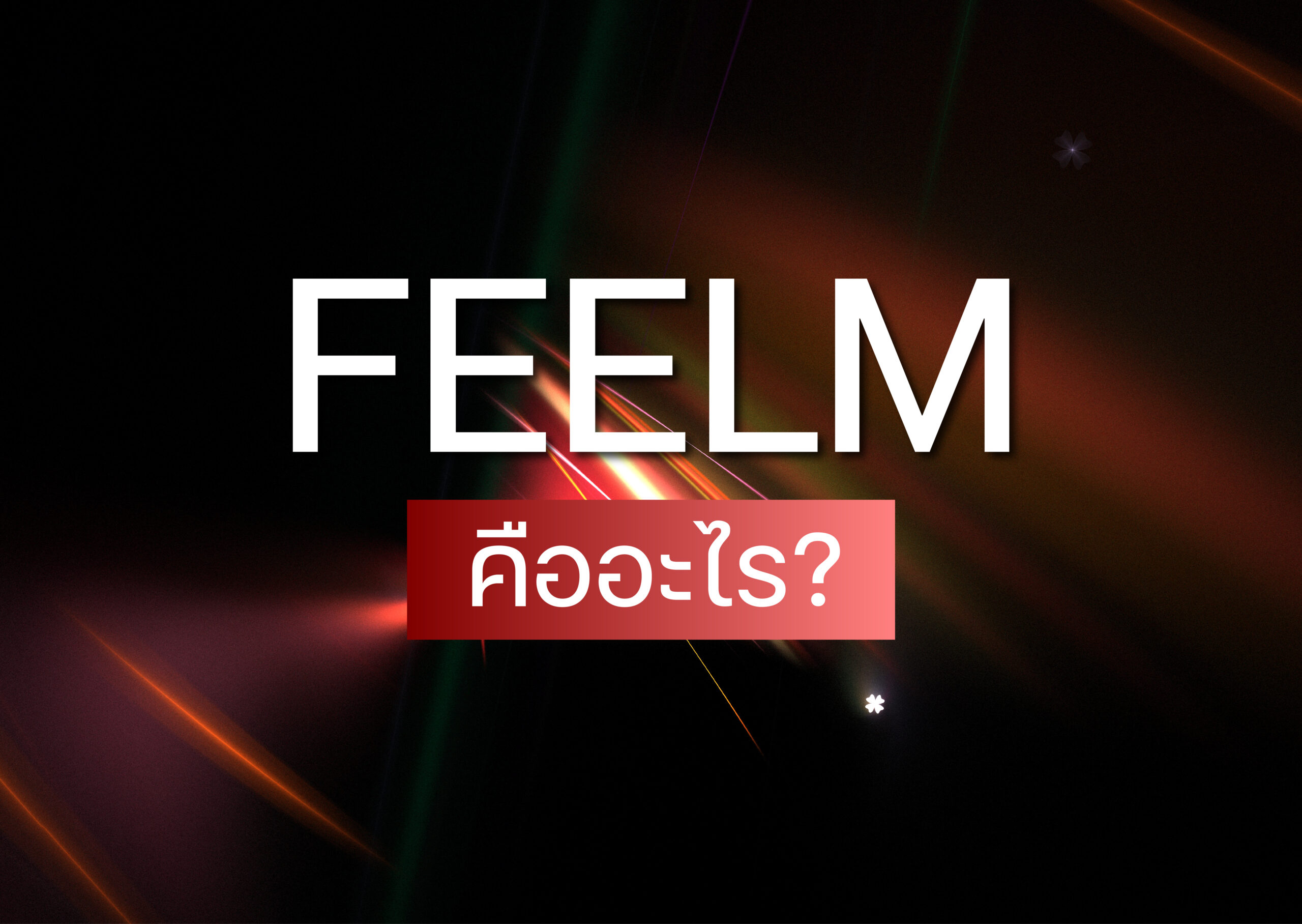 FEELM คืออะไร - EcigThailand.com